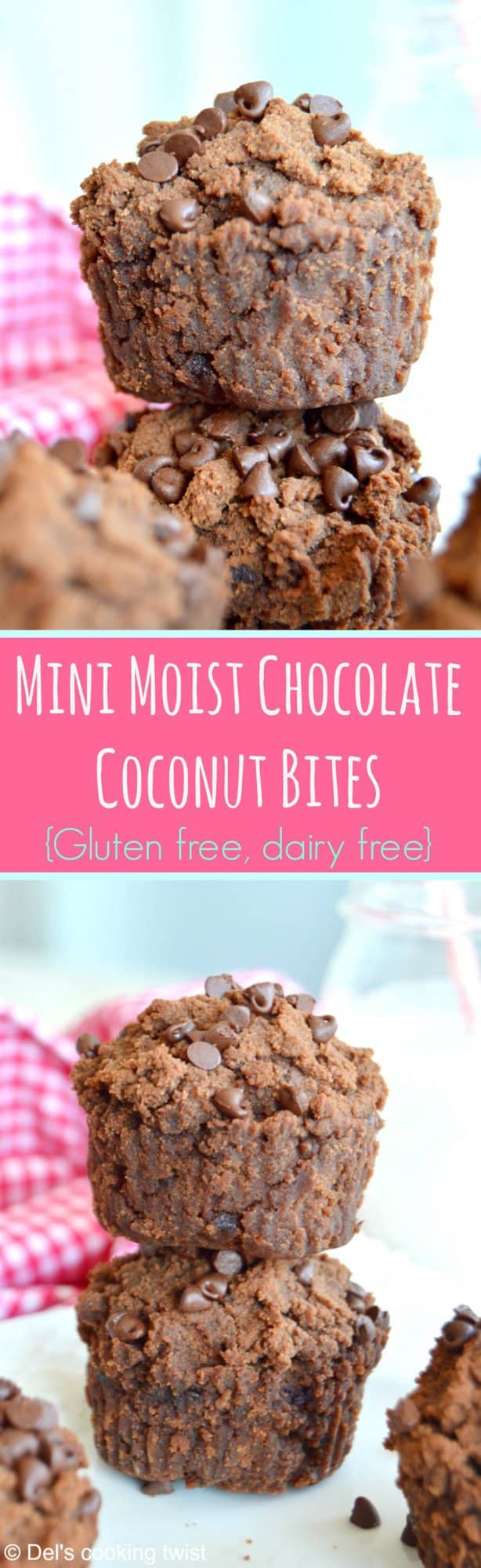 Mini Moist Double Chocolate Coconut Bites (gluten free, dairy free ...