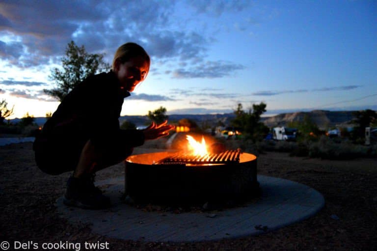 Campfire S'mores (+ indoor version!) - Del's cooking twist